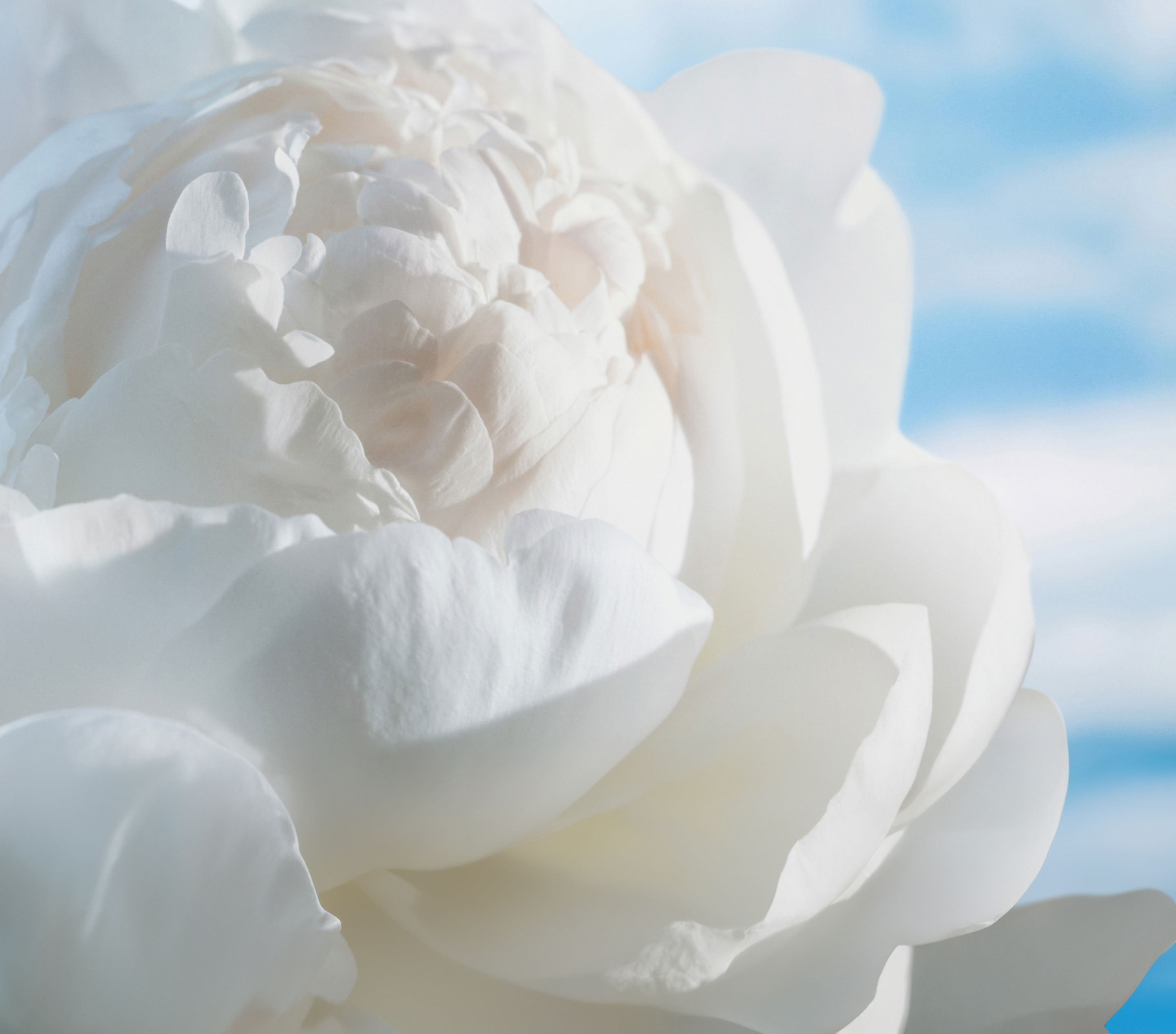 Hyper Real | Hyaluronic Acid Skincare | MAC Cosmetics